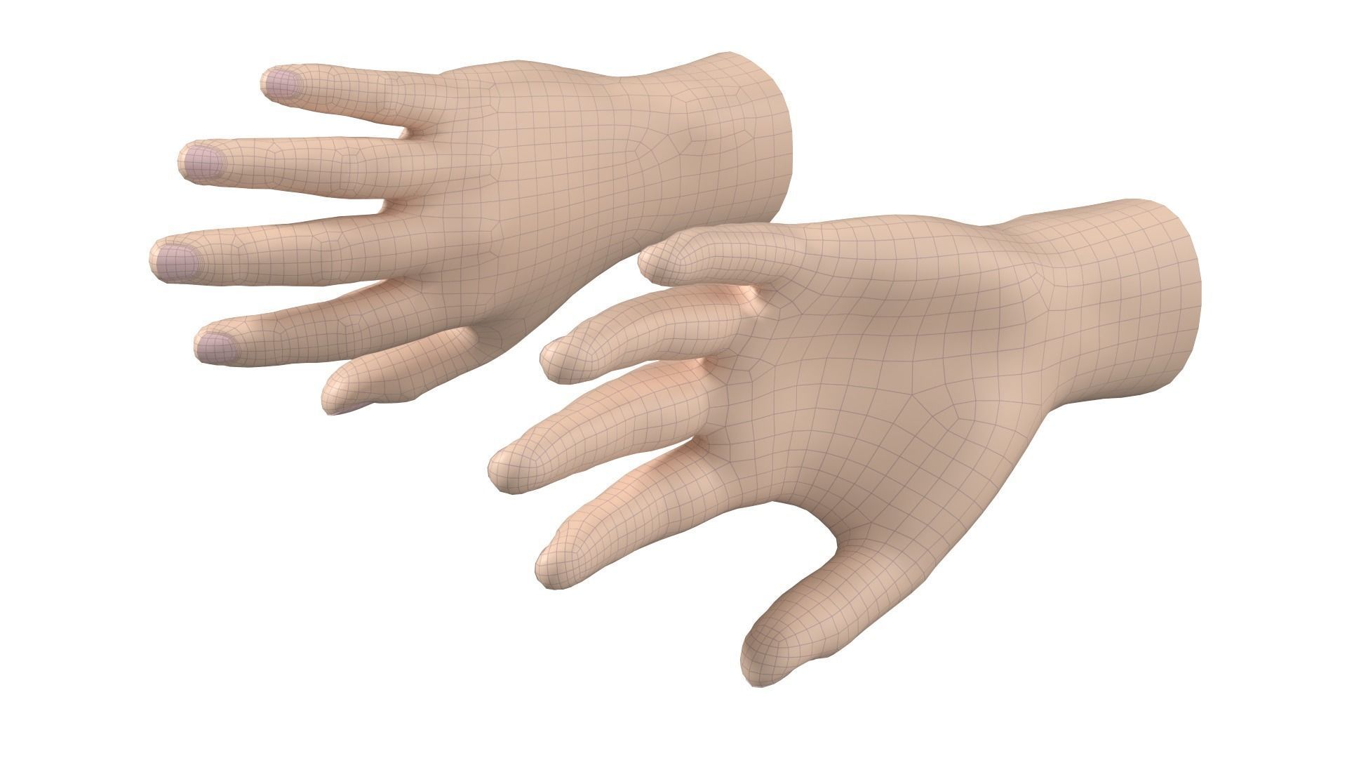 Male Hand Base Mesh 01 3D model | CGTrader