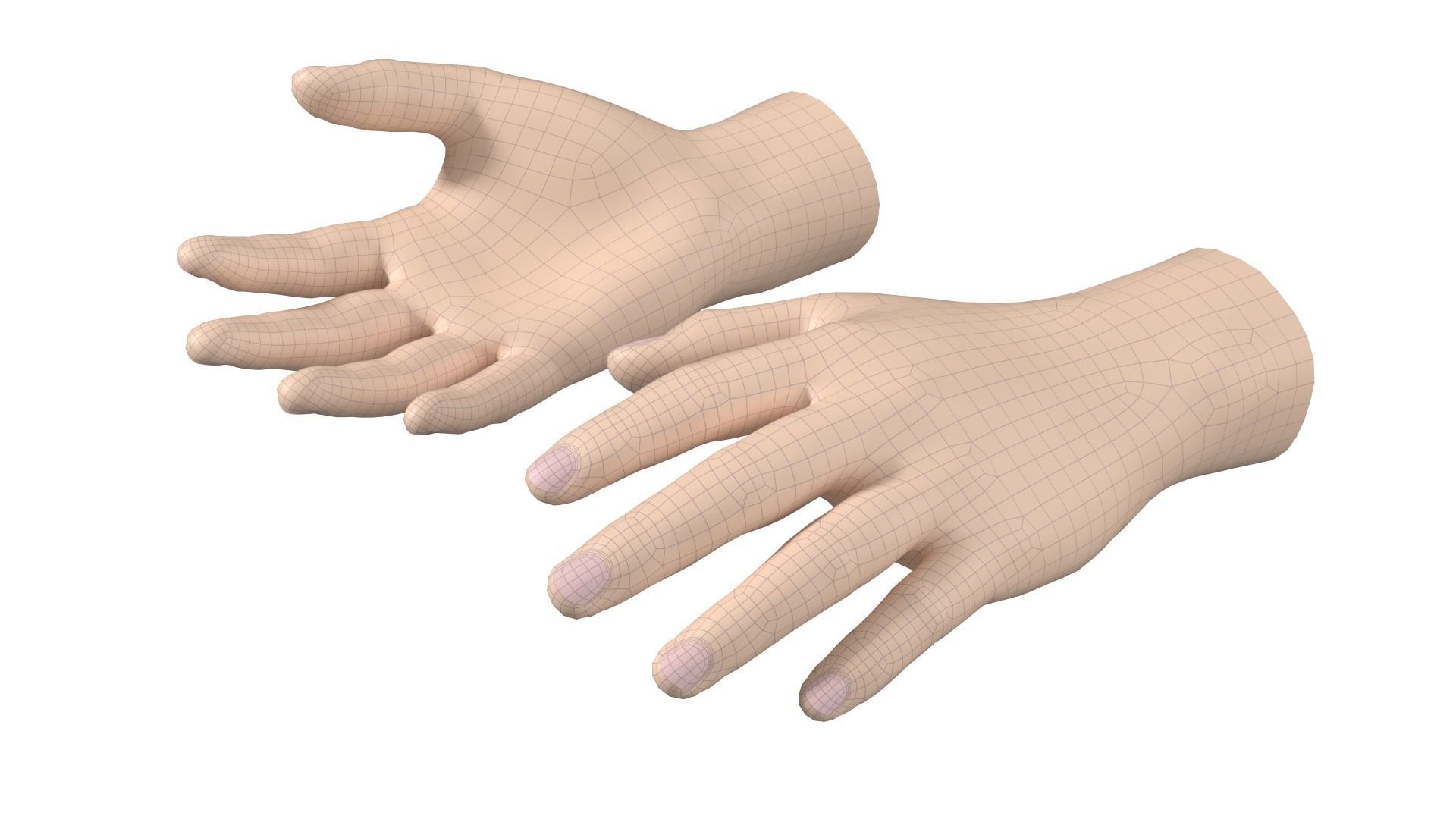 Male Hand Base Mesh 01 3D model | CGTrader