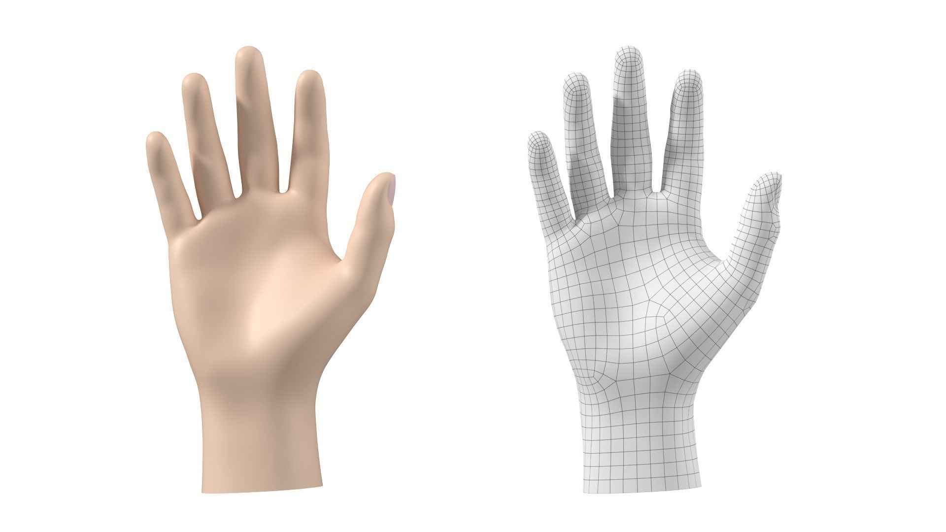 Male Hand Base Mesh 01 3D model | CGTrader