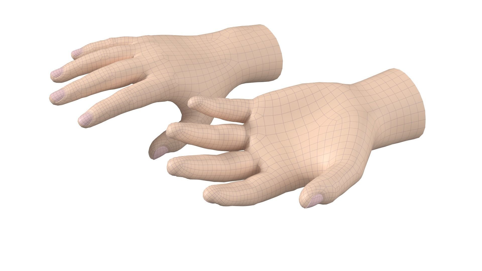 Male Hand Base Mesh 01 3D model | CGTrader