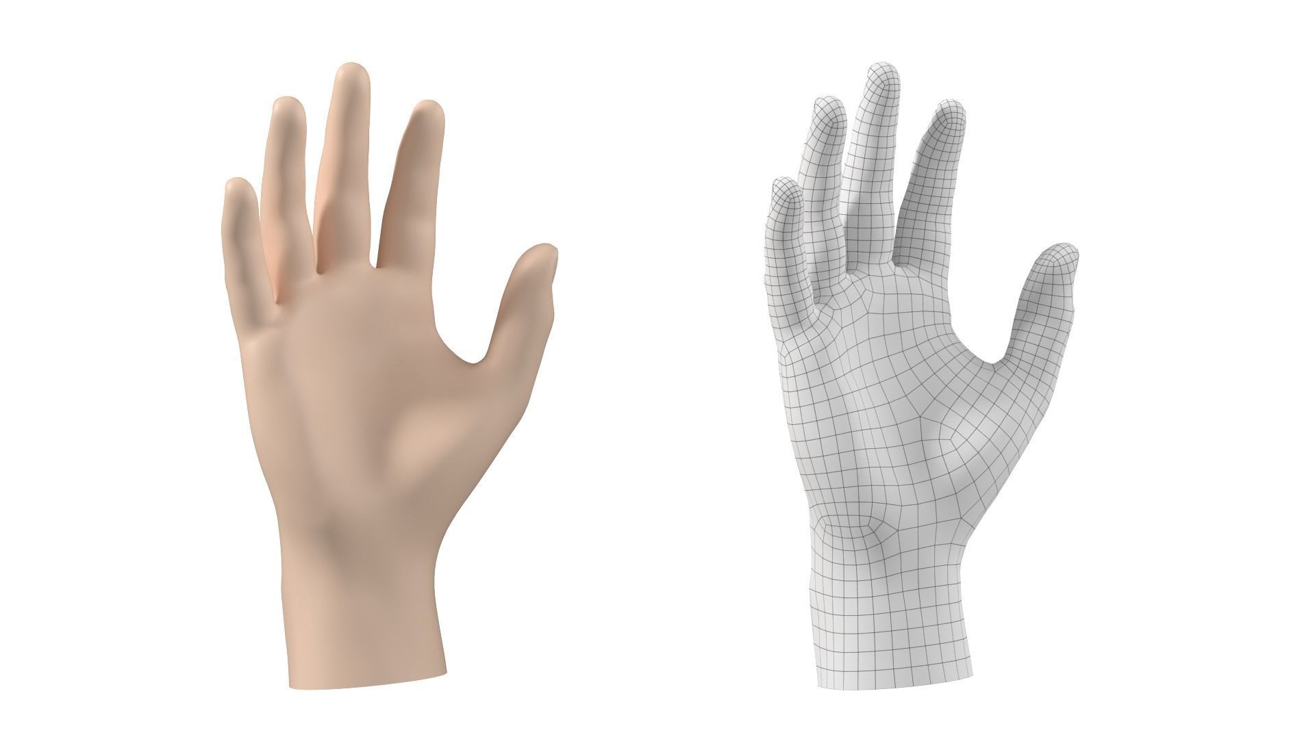 Male Hand Base Mesh 01 3D model | CGTrader