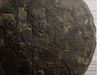 Coal Seamless Texture 2K - EXR 5 - JPG 5 Texture Texture | CGTrader