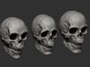 skull with different facial expressions 3D print model v2 3D model 3D ...