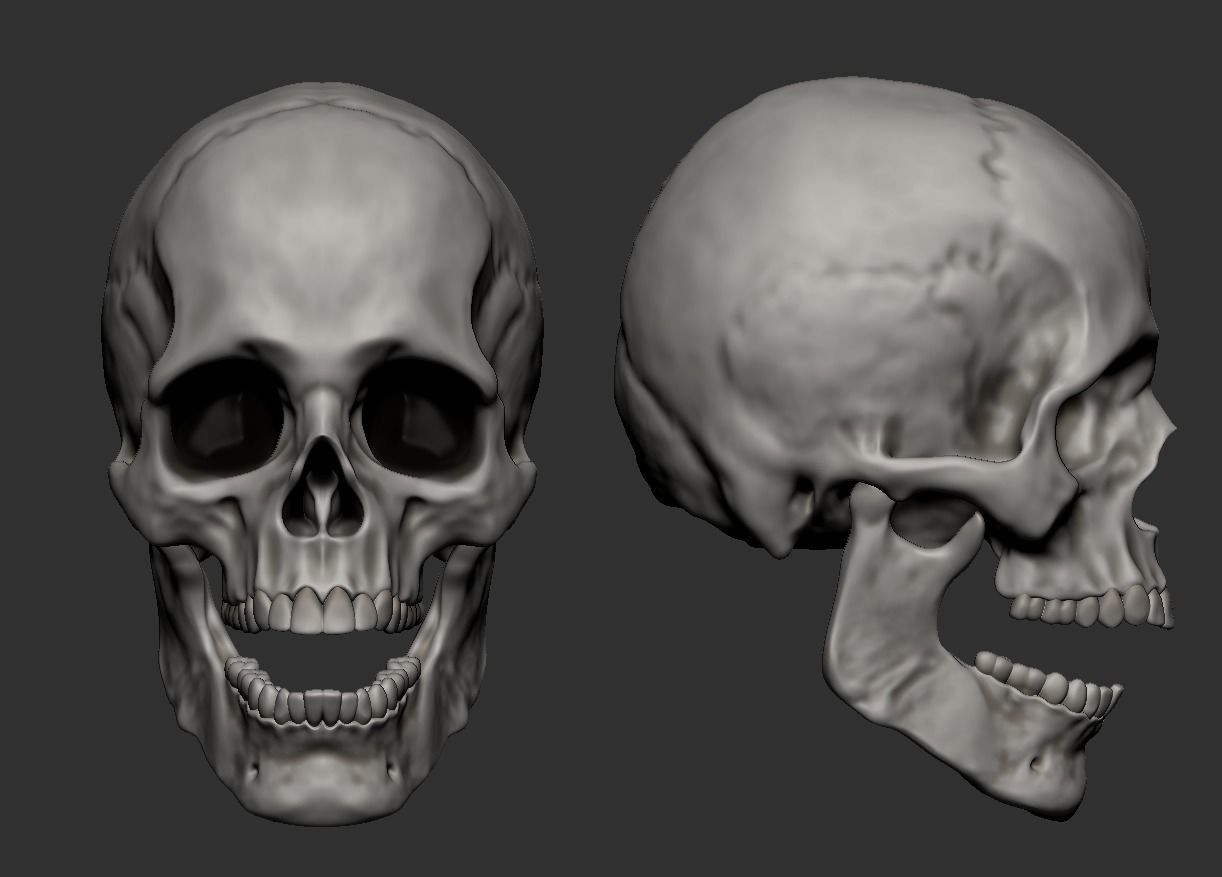 skull with different facial expressions 3D print model v2 3D model 3D ...