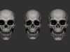 skull with different facial expressions 3D print model v2 3D model 3D ...