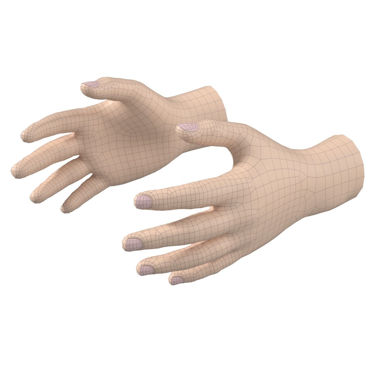 Male Hand Base Mesh 02 3D model | CGTrader