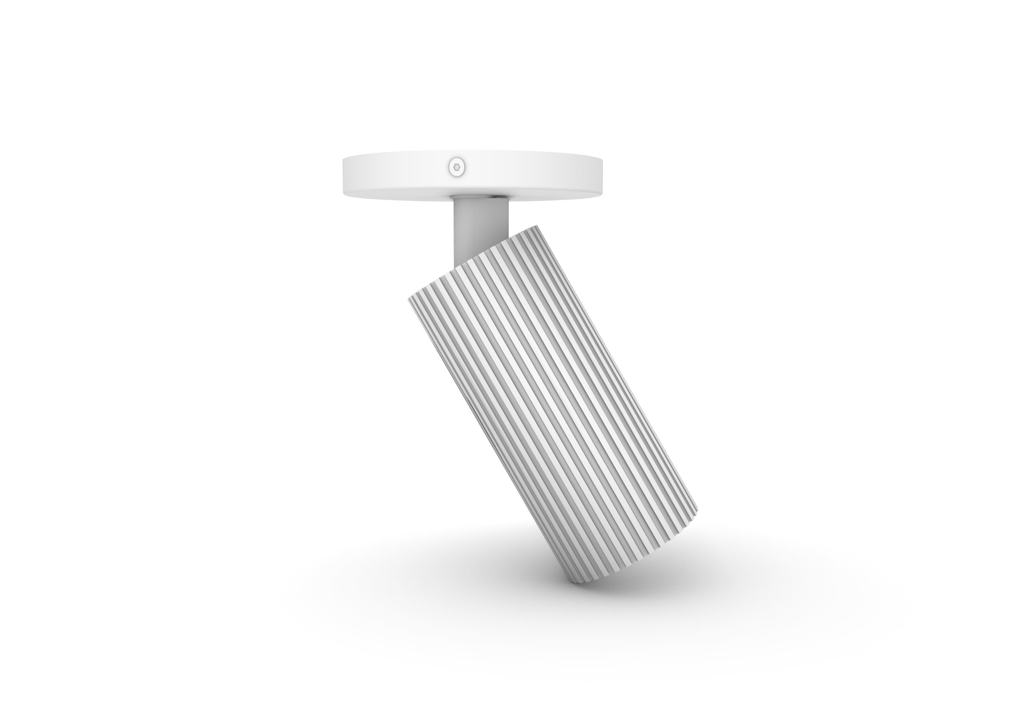 Fluted Light Fixtures - Adjustable Spot light and Wall light 3D model ...