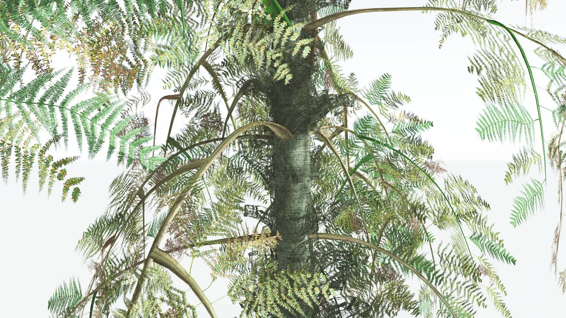 EVERYPlant Alethopteris Seed Fern 3 --12 Models-- 3D model | CGTrader