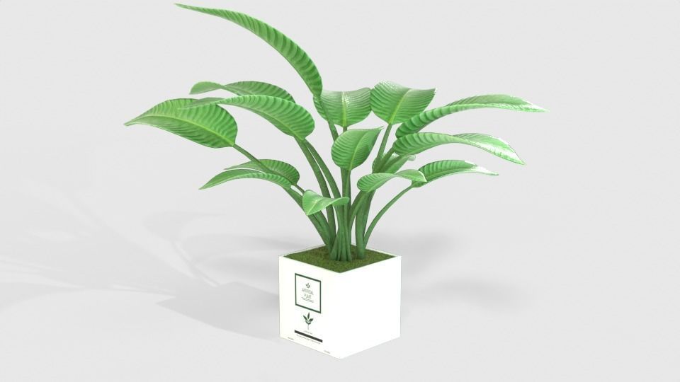 3D model Home decorations Artificial Plant VR / AR / low-poly | CGTrader
