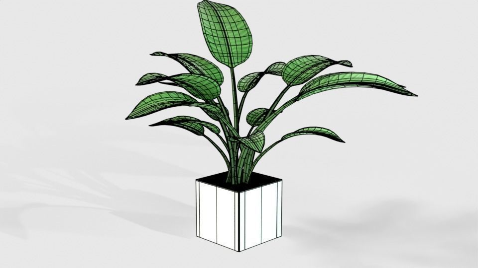 3D model Home decorations Artificial Plant VR / AR / low-poly | CGTrader