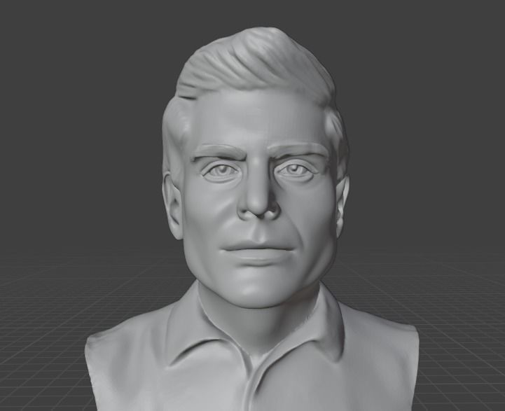 Zac Efron 3D model 3D printable | CGTrader