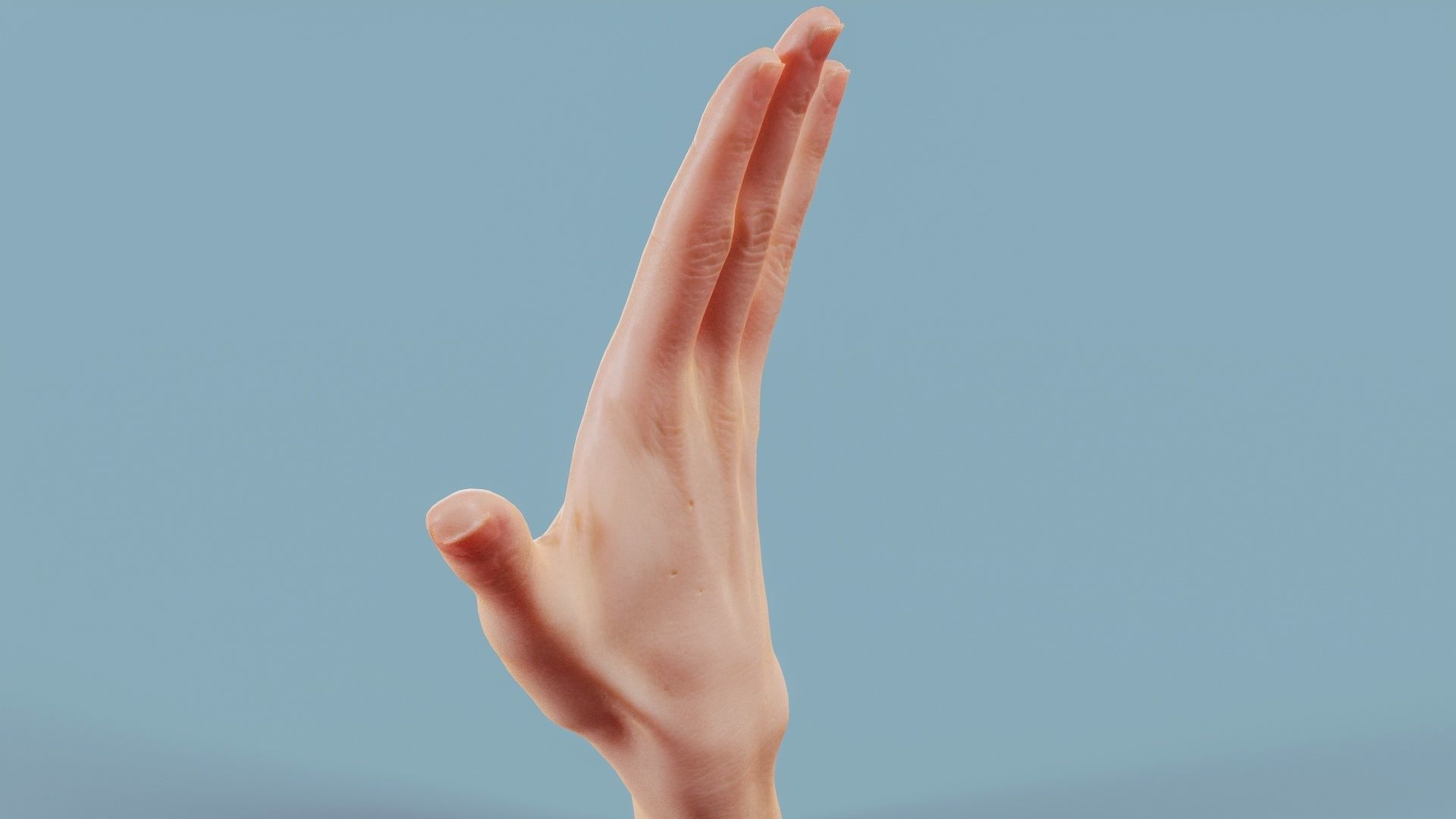 3D model Spocking Single Hand 019 VR / AR / low-poly | CGTrader