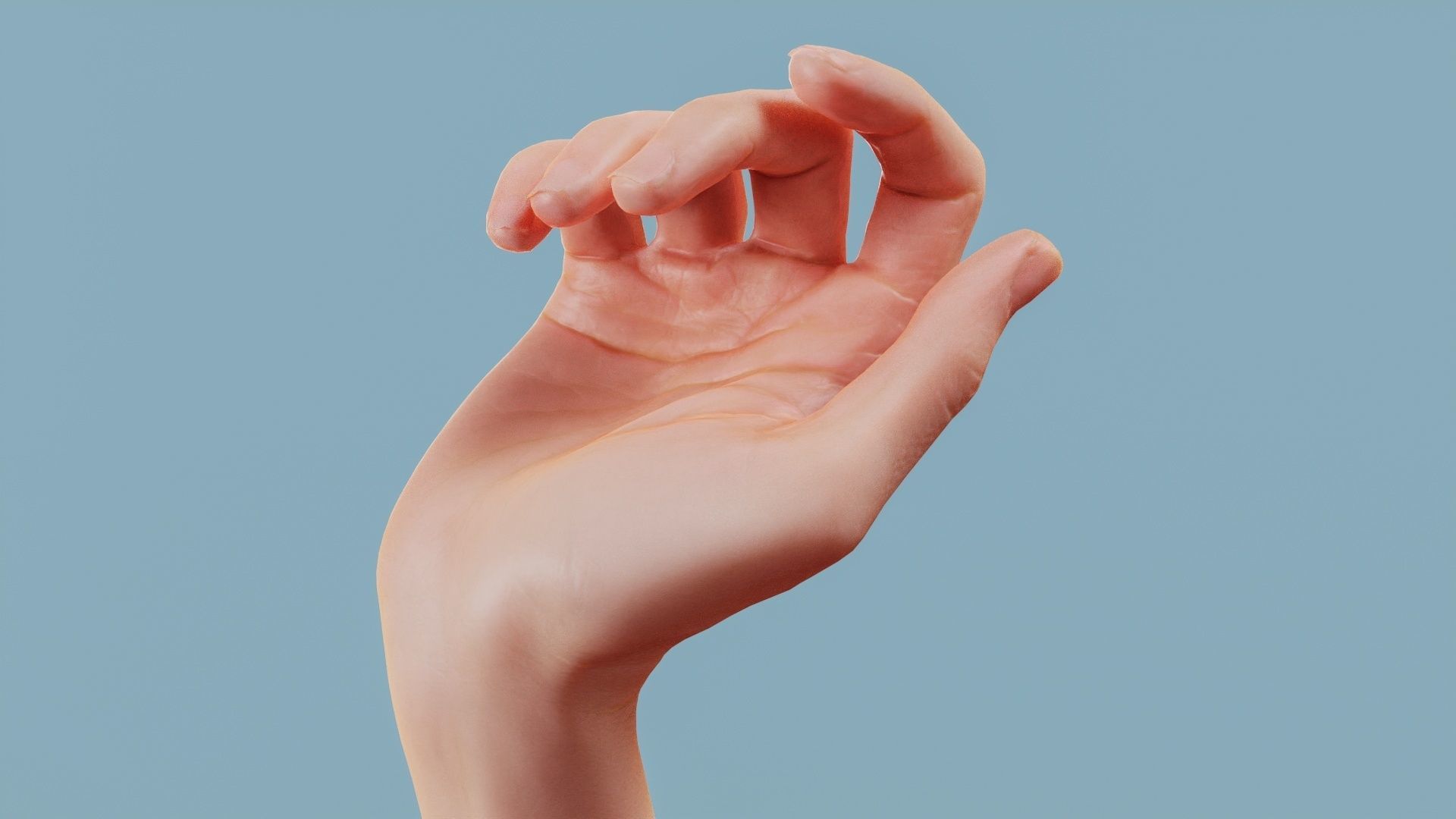 3D model Backseating Single Hand 010 VR / AR / low-poly | CGTrader