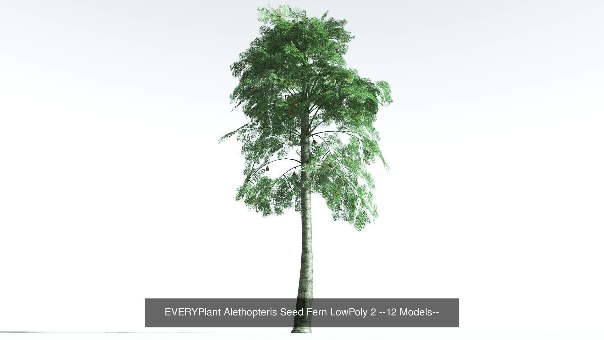 3D Model Collection EVERYPlant Alethopteris Seed Fern LowPoly Bundle ...