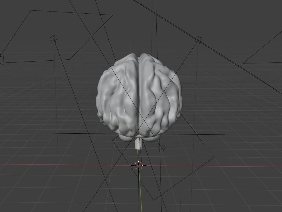 3D Model Of Brain - blender 3D 3D model | CGTrader