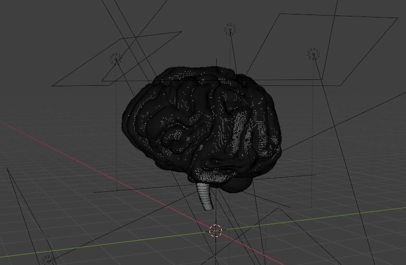 3D Model Of Brain - blender 3D 3D model | CGTrader