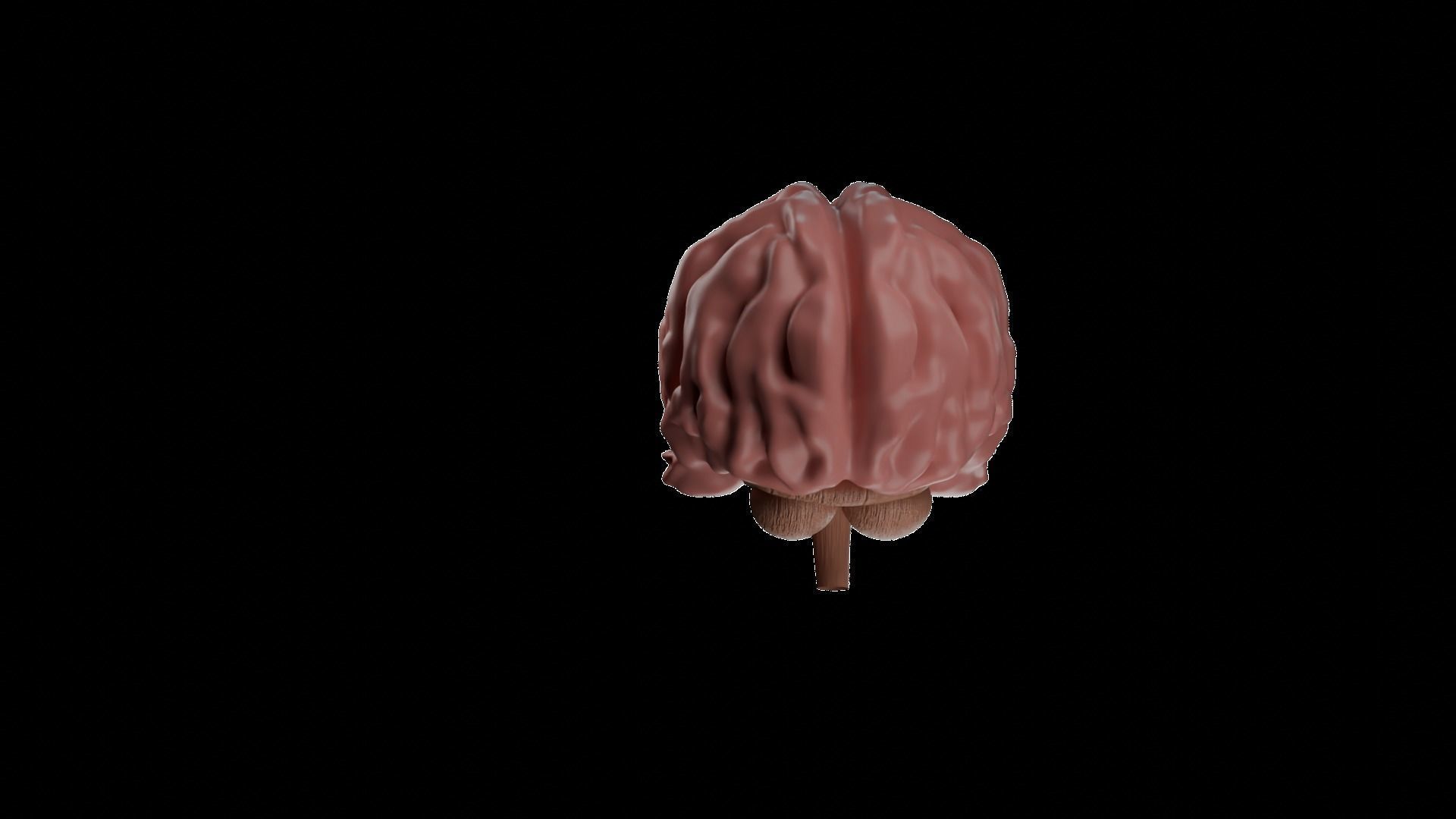 3D Model Of Brain - blender 3D 3D model | CGTrader