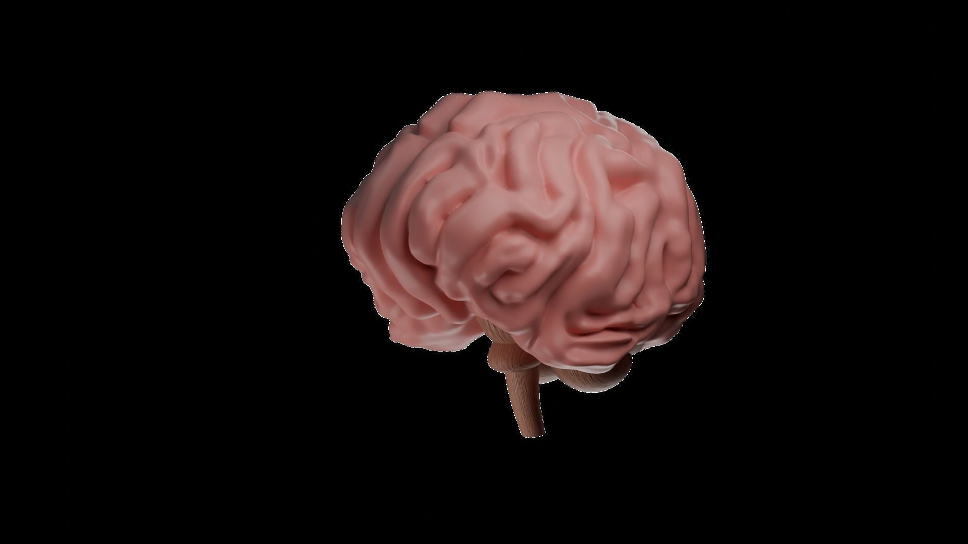 3D Model Of Brain - blender 3D 3D model | CGTrader