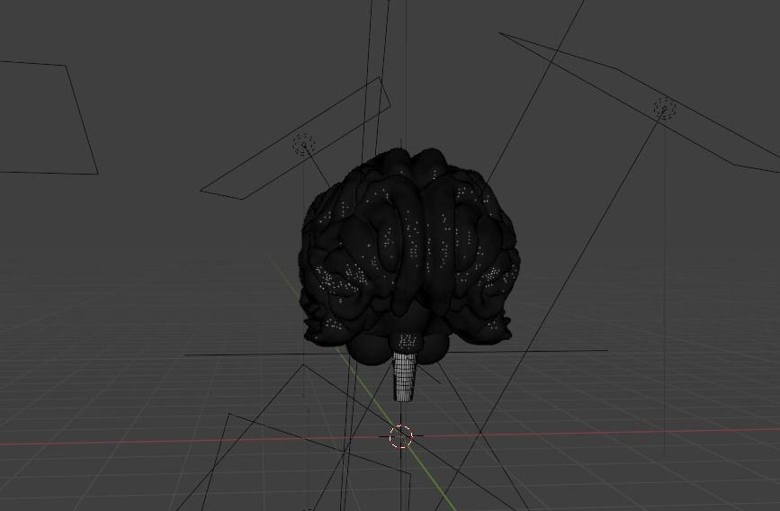 3D Model Of Brain - blender 3D 3D model | CGTrader