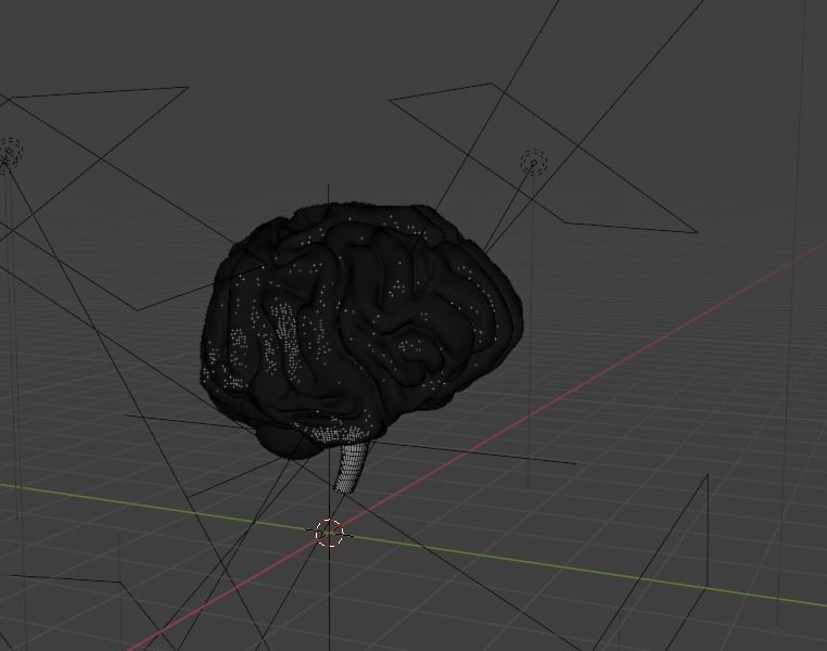 3D Model Of Brain - blender 3D 3D model | CGTrader