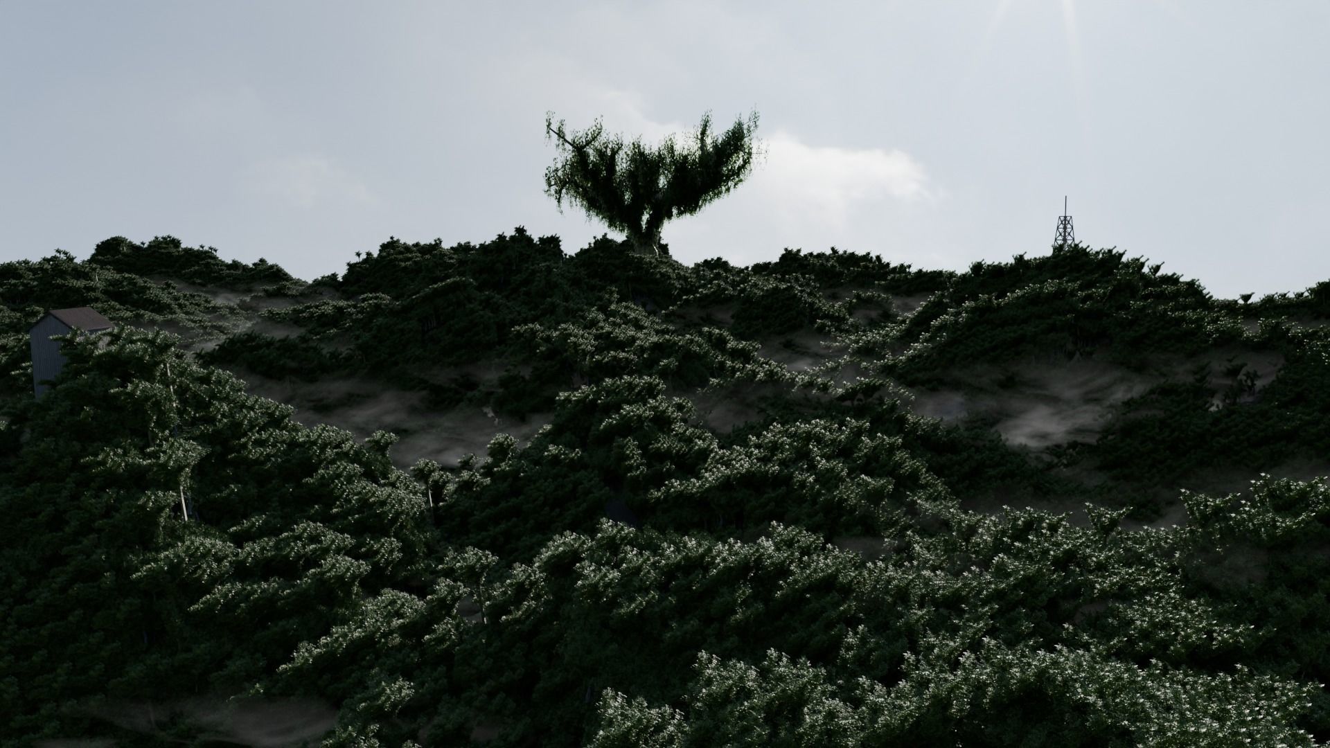 Simple Forest Scene 3D model | CGTrader