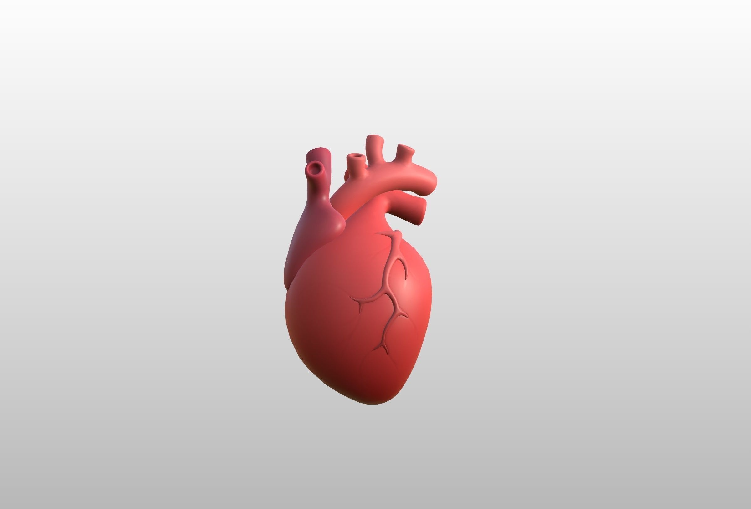 Cartoon Human Heart 3D model | CGTrader
