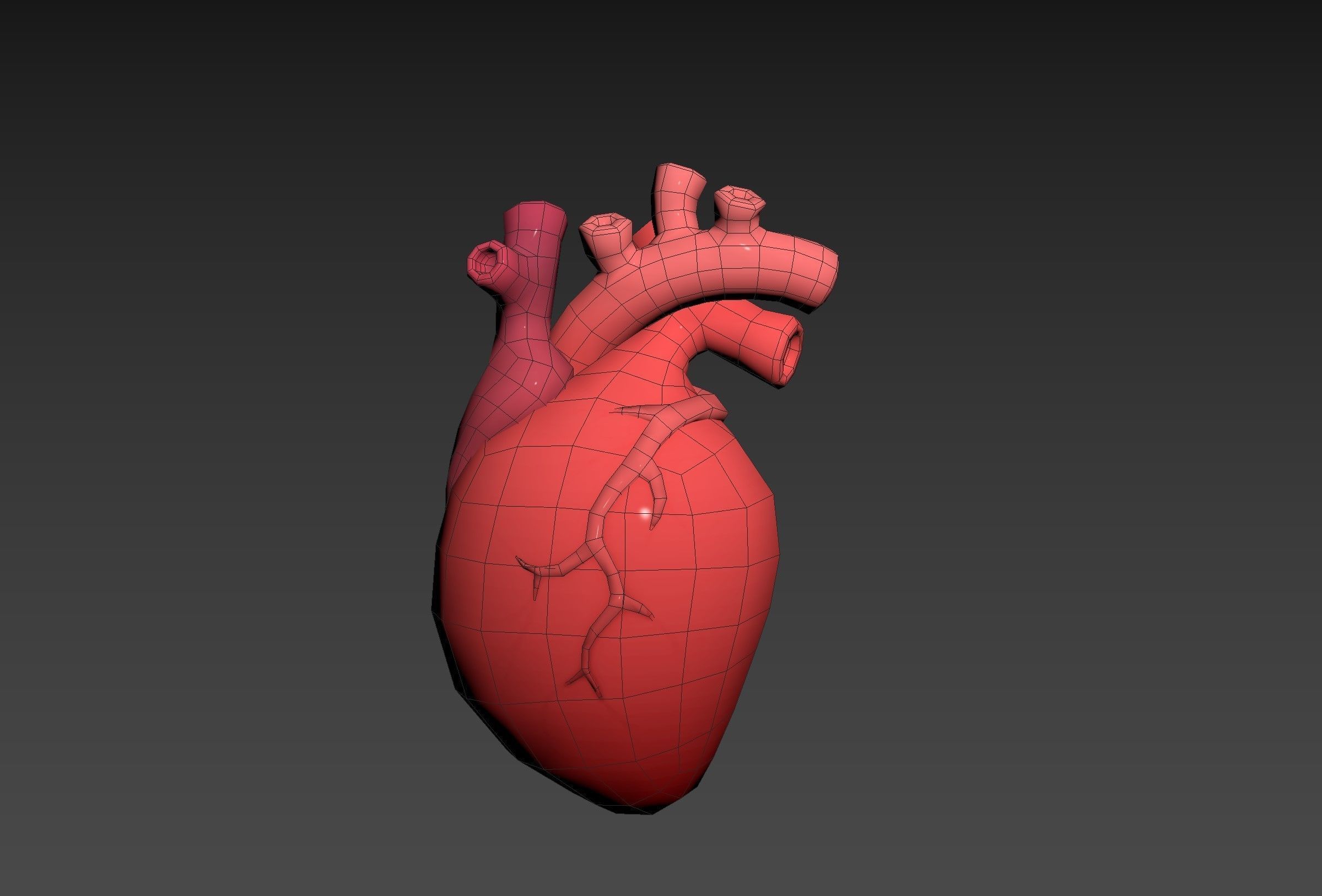 Cartoon Human Heart 3D model | CGTrader