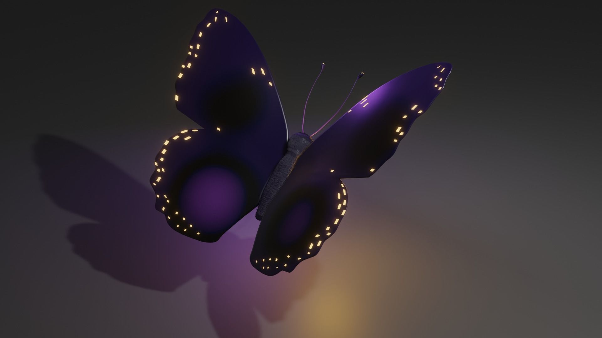 Butterfly free 3D model | CGTrader