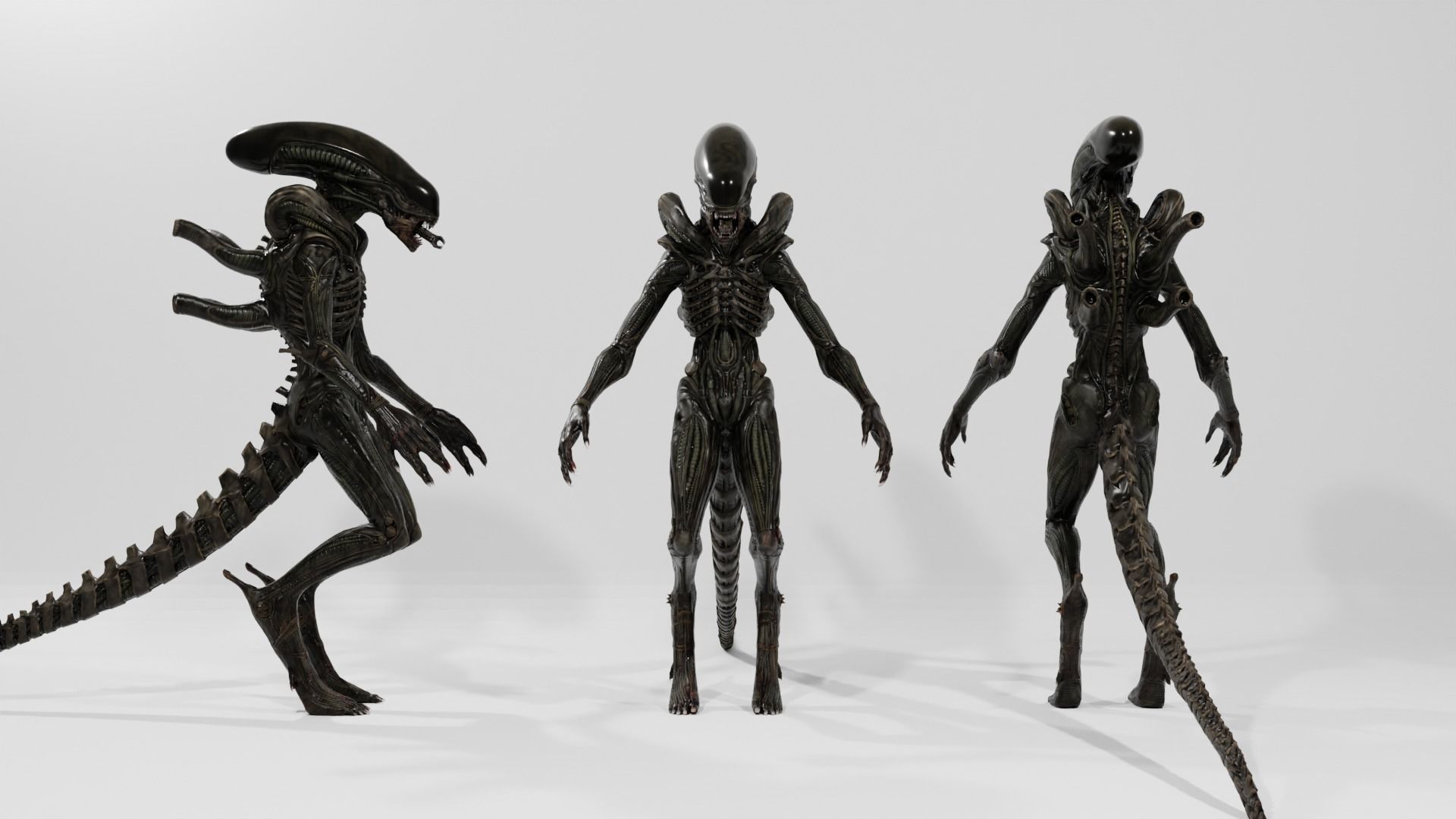 3D model Alien Xenomorph VR / AR / low-poly | CGTrader