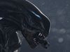 3D model Alien Xenomorph VR / AR / low-poly | CGTrader