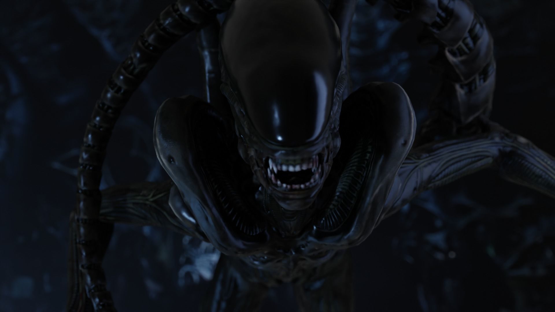 3D model Alien Xenomorph VR / AR / low-poly | CGTrader