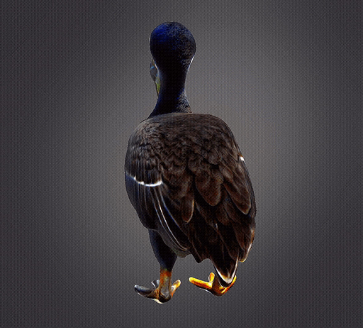 Dodo Bird Realistic 3D model 3D printable | CGTrader