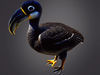 Dodo Bird Realistic 3D model 3D printable | CGTrader