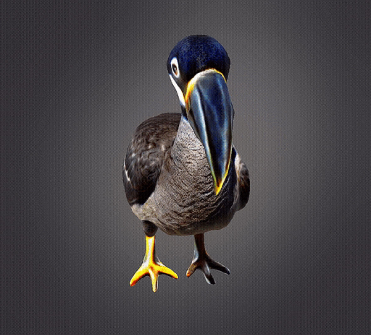 Dodo Bird Realistic 3D model 3D printable | CGTrader