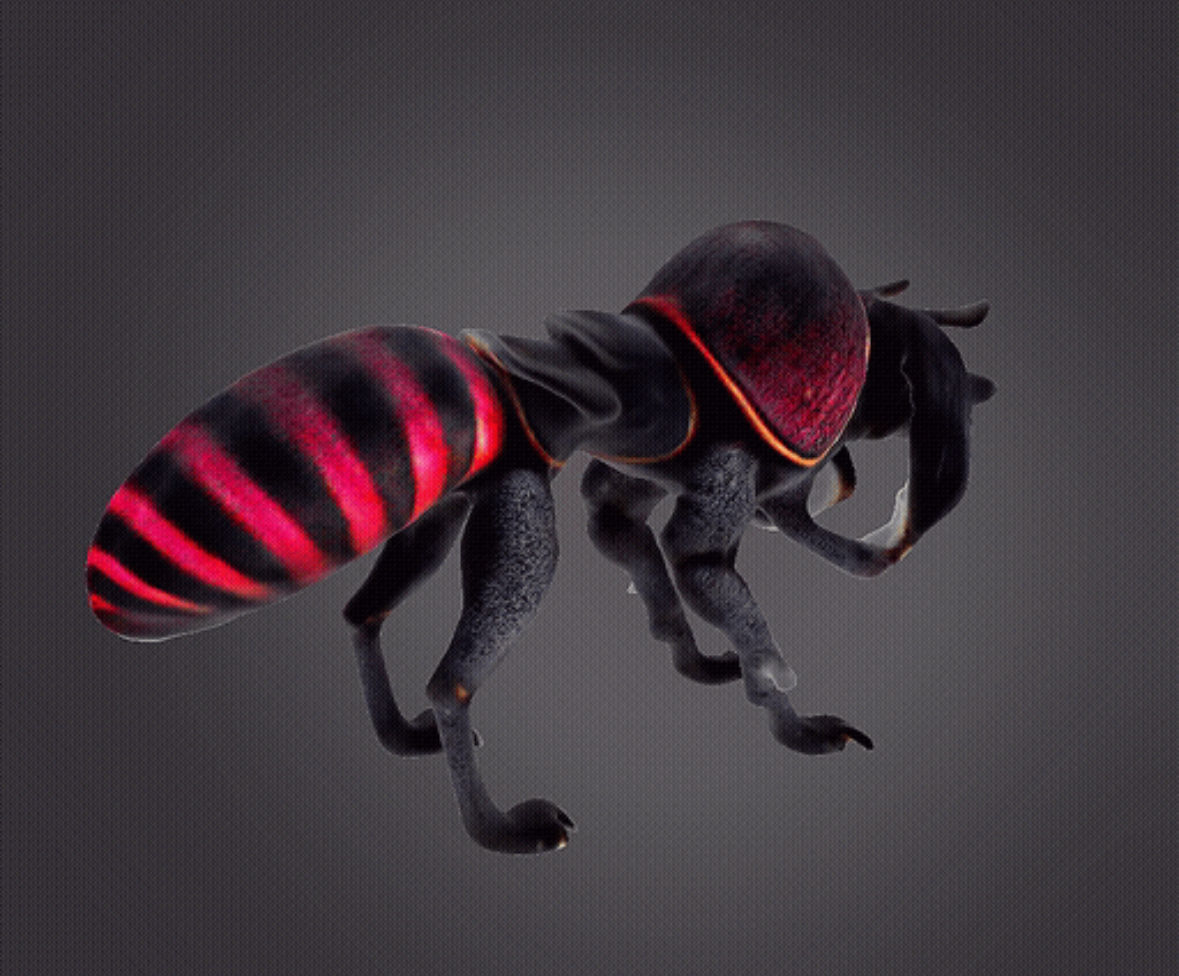 Beetledog 3D Model 3D model 3D printable | CGTrader