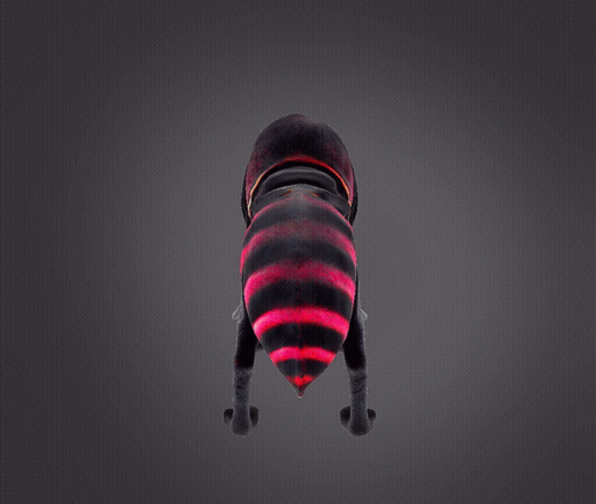 Beetledog 3D Model 3D model 3D printable | CGTrader