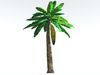 EVERYPlant Bjuvia Cycad 2 --12 Models-- 3D model | CGTrader