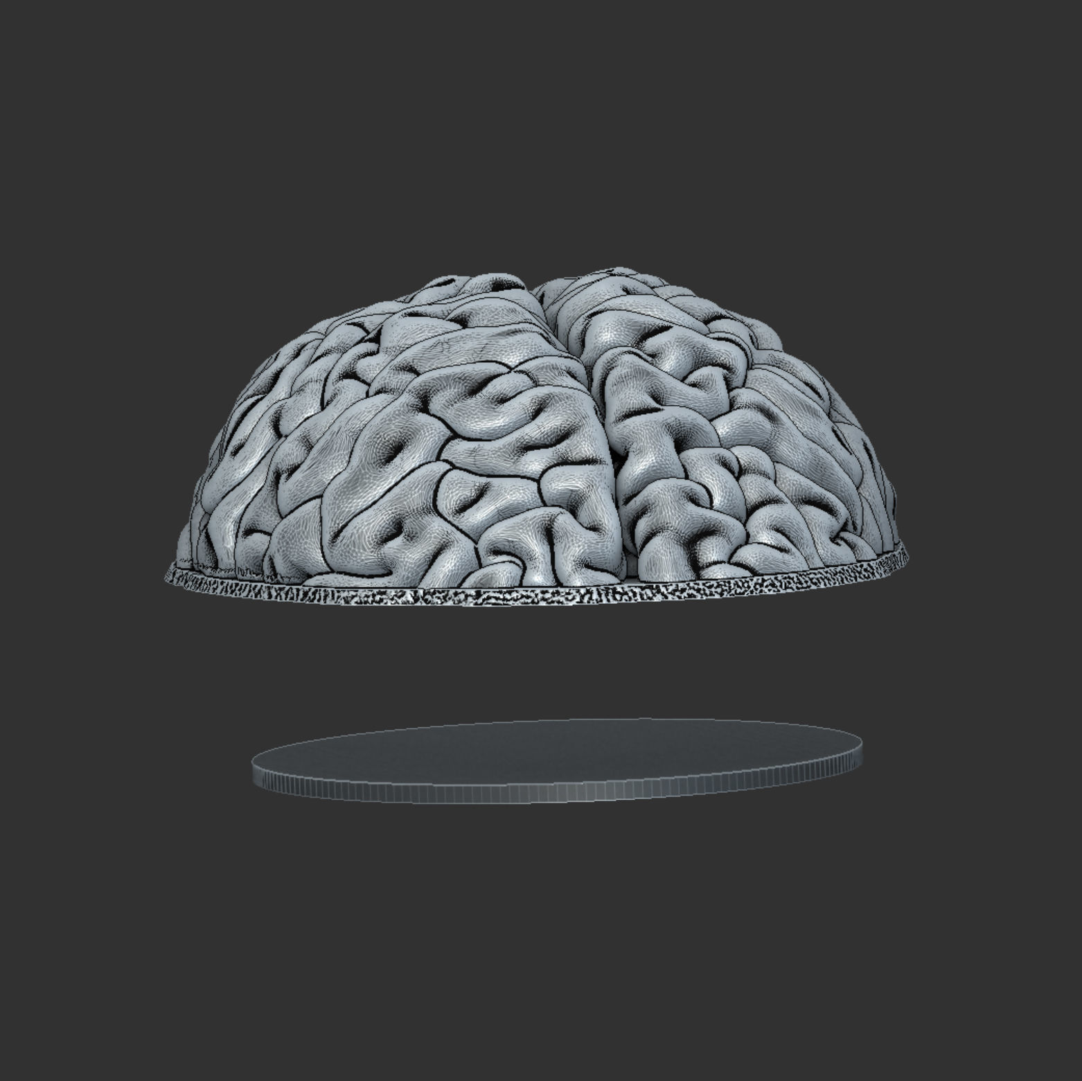 Brain Cap as headgear for the Skull stand and wall lamps 3D model 3D ...