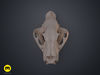 Tiger Skull Panthera Tigris Tigris realistic scan 3D model 3D printable ...