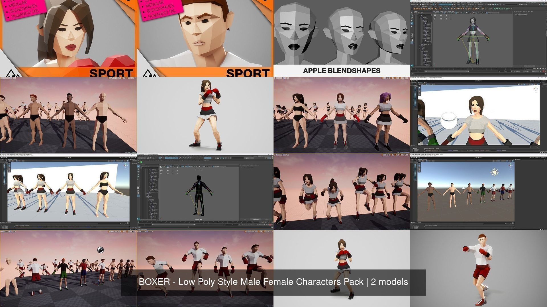 3D Model Collection BOXER - Low Poly Style Male Female Characters Pack VR / AR / low-poly | CGTrader