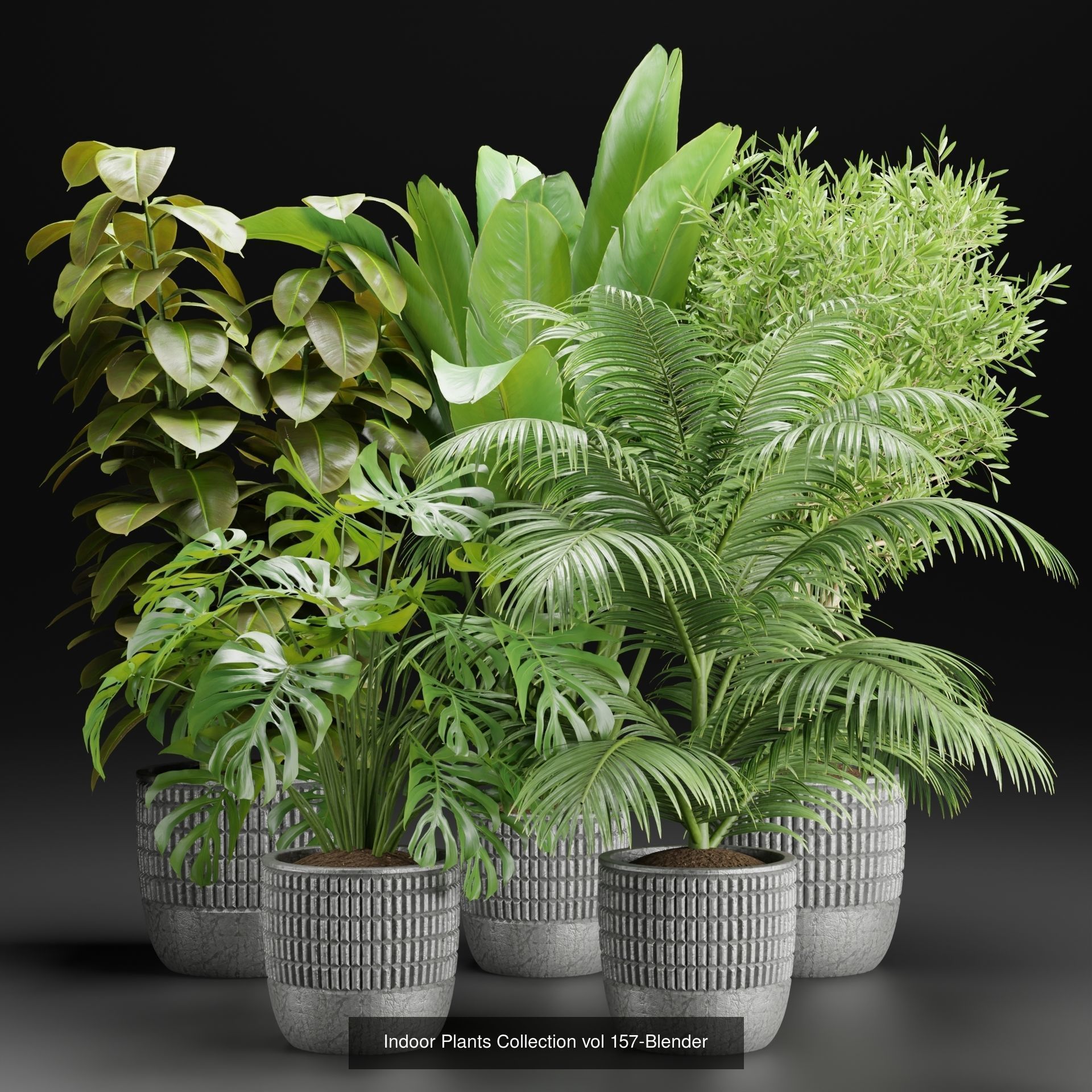 Plants in pots collection-Blender | CGTrader