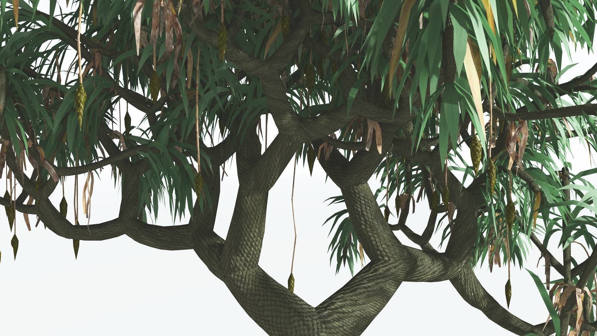 EVERYPlant Lepidodendron Scale Tree 1 --12 Models-- 3D model | CGTrader