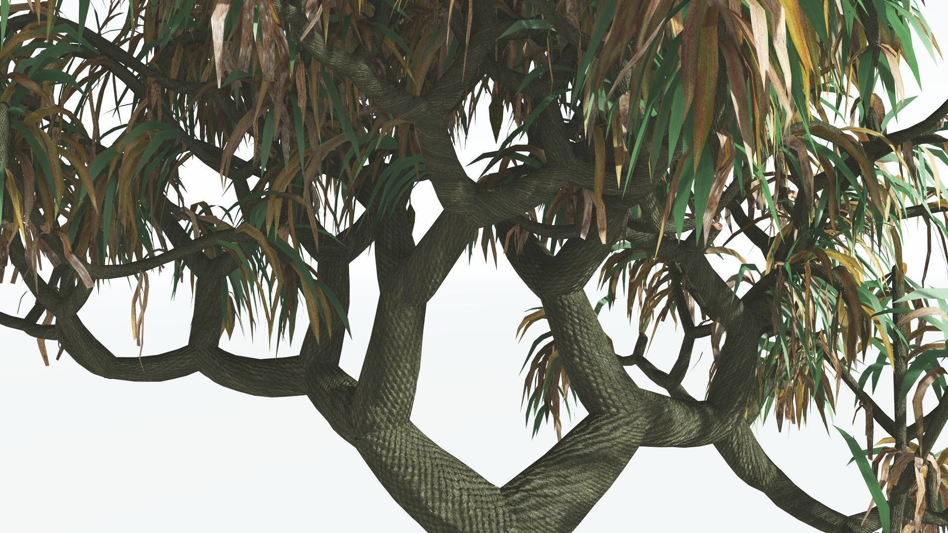 EVERYPlant Lepidodendron Scale Tree 1 --12 Models-- 3D model | CGTrader