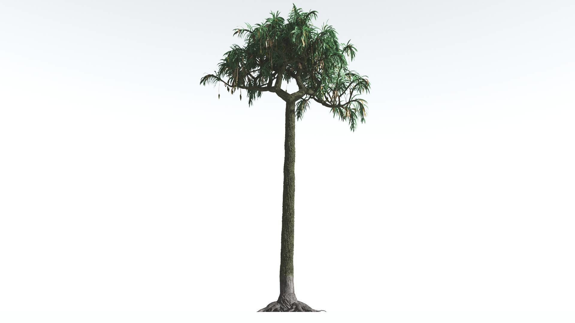 EVERYPlant Lepidodendron Scale Tree 1 --12 Models-- 3D model | CGTrader