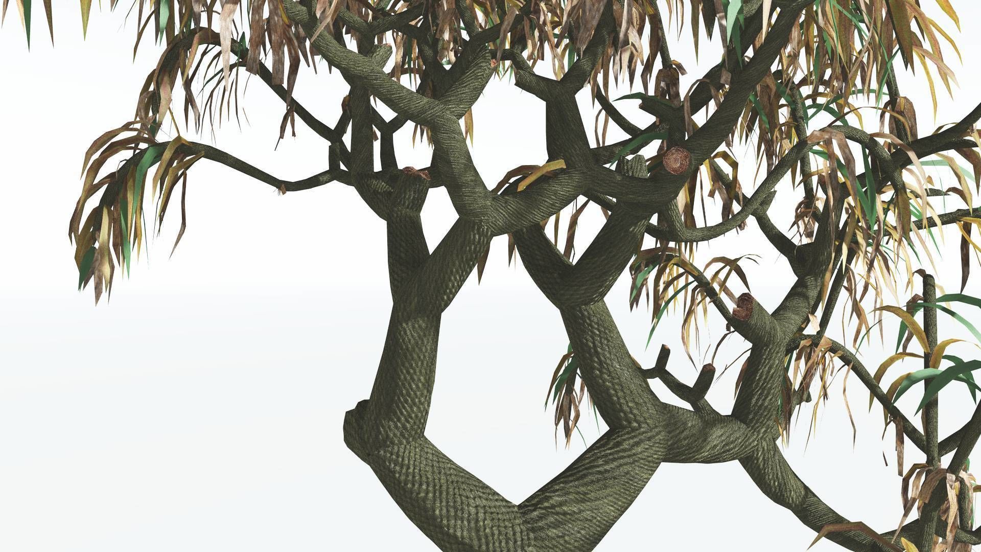 EVERYPlant Lepidodendron Scale Tree 1 --12 Models-- 3D model | CGTrader