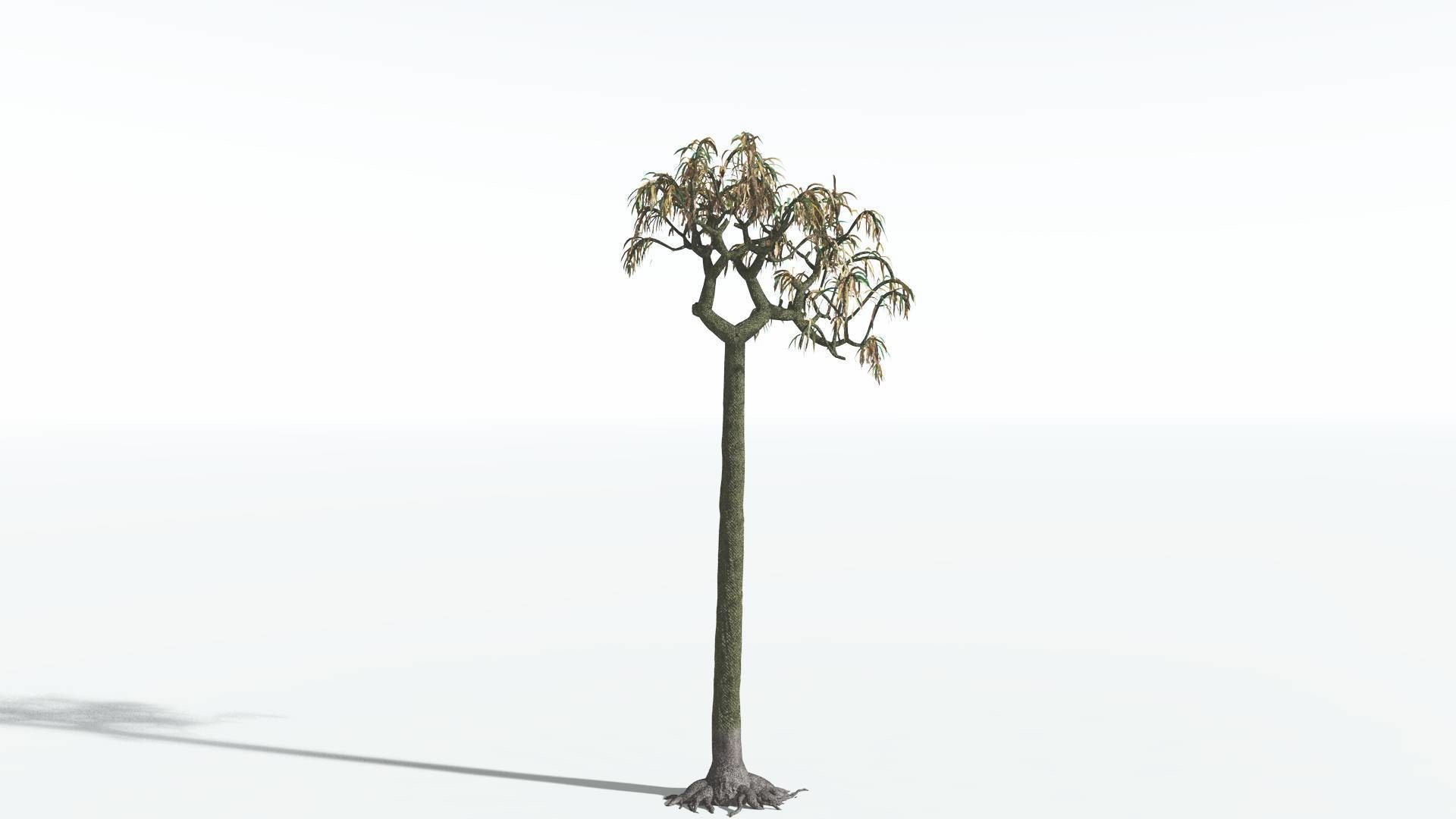 EVERYPlant Lepidodendron Scale Tree 1 --12 Models-- 3D model | CGTrader