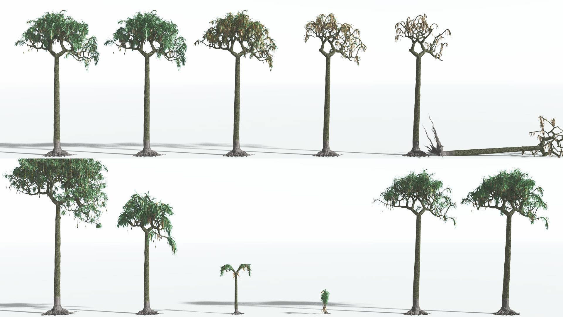 EVERYPlant Lepidodendron Scale Tree 1 --12 Models-- 3D model | CGTrader