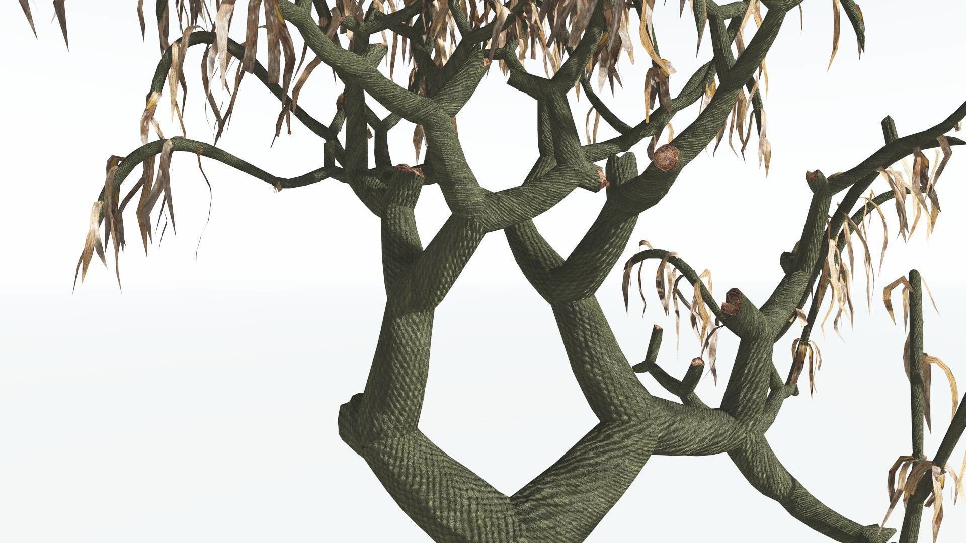 EVERYPlant Lepidodendron Scale Tree 1 --12 Models-- 3D model | CGTrader