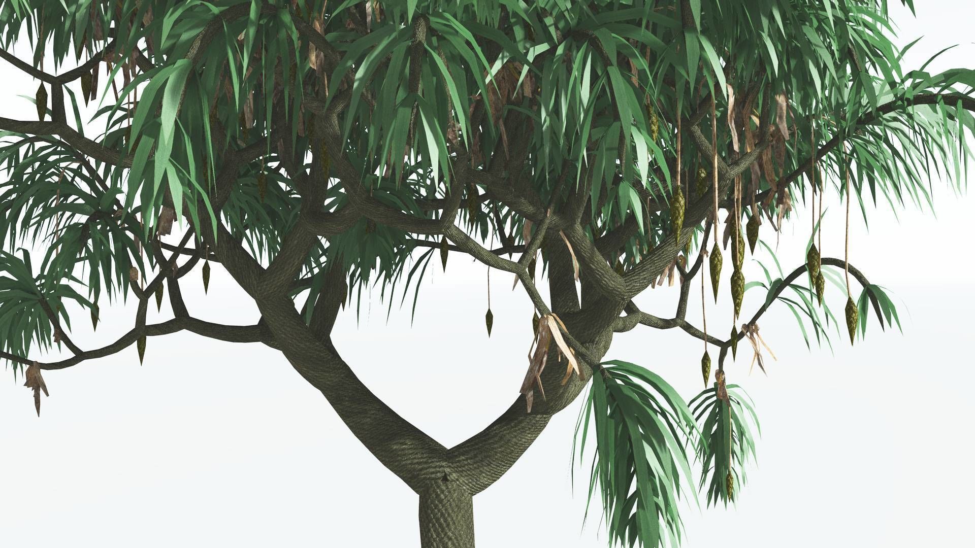 EVERYPlant Lepidodendron Scale Tree 2 --12 Models-- 3D model | CGTrader