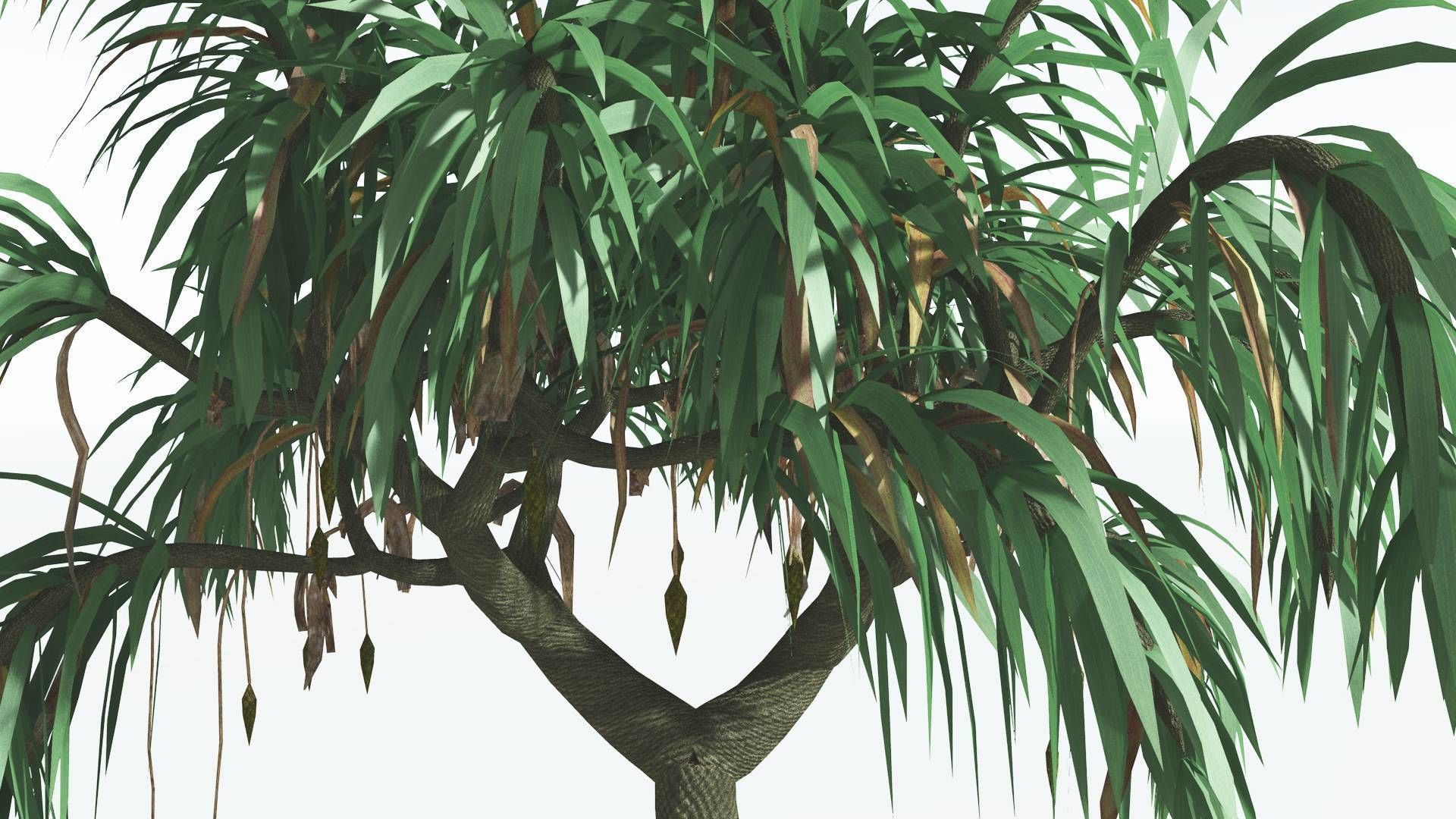 EVERYPlant Lepidodendron Scale Tree 2 --12 Models-- 3D model | CGTrader